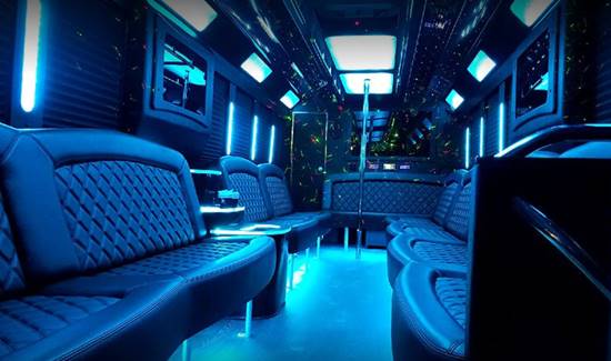 Bachelorette Party Bus + Male Strippers | Bad Boy Strip